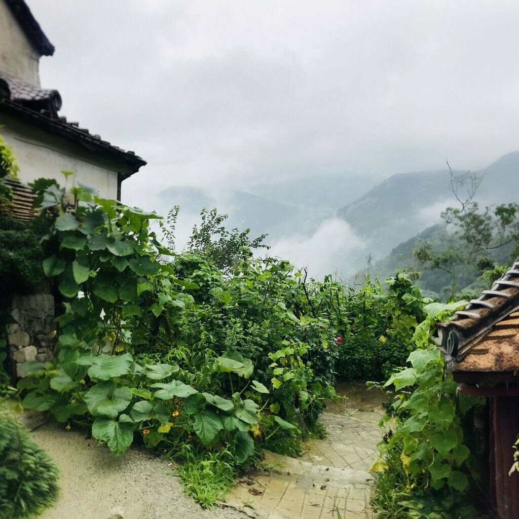 Muhtarlıklar Kondu Mahallesi Muhtarlığı, Dernekpazarı, foto