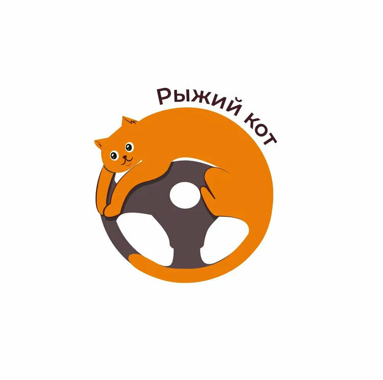 Uzman hizmetleri Ryzhiy Kot, Tixvin, foto