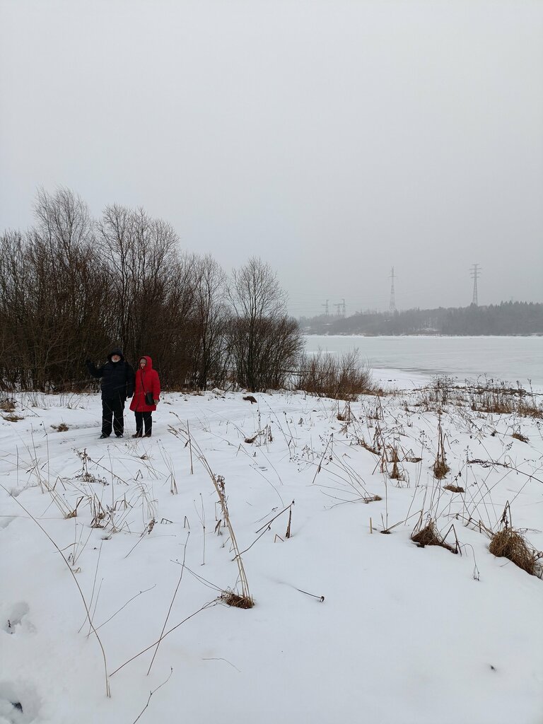 Pınar, çay Spring, stream, Vologodskaya oblastı, foto