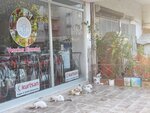 Doğu-Vet Veteriner Kliniği (Adıyaman, Adıyaman Merkez, Fevzi Çakmak Cad., 23), veteriner klinikleri  Adıyaman'dan