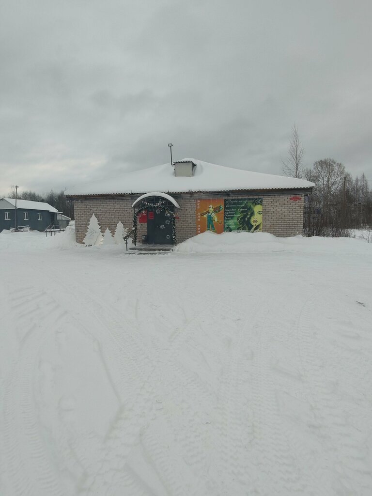 Ev temizlik ürünleri Все для дома, Arhangelskaya oblastı, foto