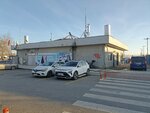 İdo Kartal Deniz Otobüsü Terminali (İstanbul, Kartal, Turgut Özal Blv., 64), bisiklet kiralama  İstanbul'dan