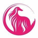 Pink dog (ulitsa Shillera No:46к3), evcil hayvan kuaförleri  Tiumen'den