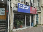 Gülsözlü Sigorta (İskenderpaşa Mah., Vatanperver Sok., No:62A, Fatih, İstanbul), sigorta acentaları  İstanbul'dan