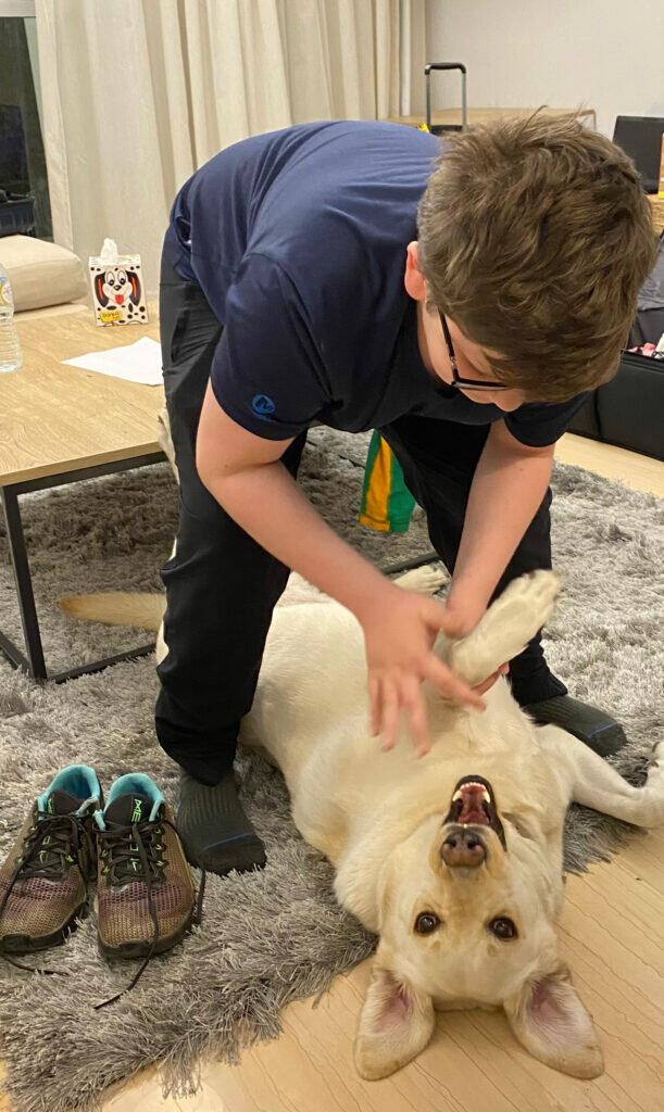 Evcil hayvan yetiştiricileri Refuge Riyadh Veterinary Clinic, Riyad, foto