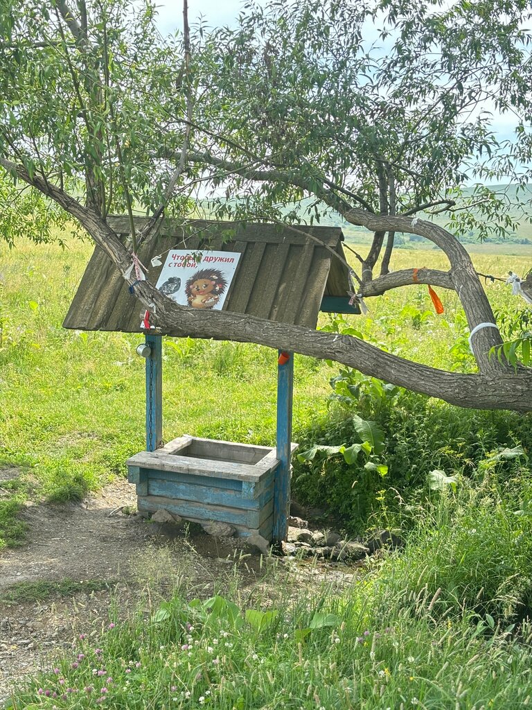 Pınar, çay Spring, stream, Altayski krayı, foto