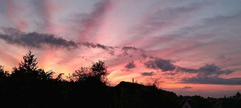 Bahçecilik dernekleri ve kuruluşları Sadovodcheskoye tovarishchestvo Ekonomist-1, Minskaya oblastı, foto