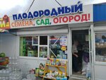 Плодородный (Gomiel, Saviecki rajon), tohum satan yerler  Gomel'den