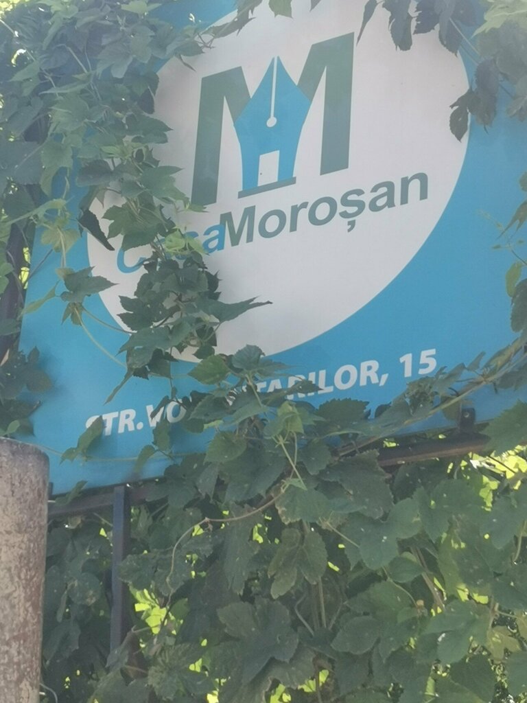 Kuru temizlemeciler Curatenie. Md Spalatorie covoare, Kişinev, foto