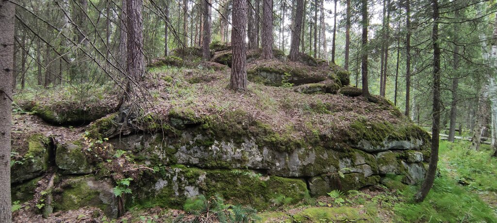 Piknik alanı Стоянка туристов, Yekaterinburg, foto