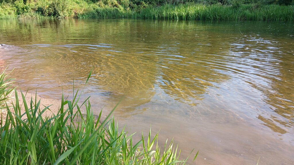 Plaj Пляж, Moskova ve Moskovskaya oblastı, foto