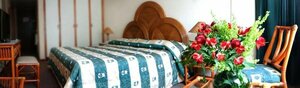 Oliva Plaza Hotel (Jalisco, Guadalajara, Avenida Ninos Heroes), otel  Guadalajara'dan