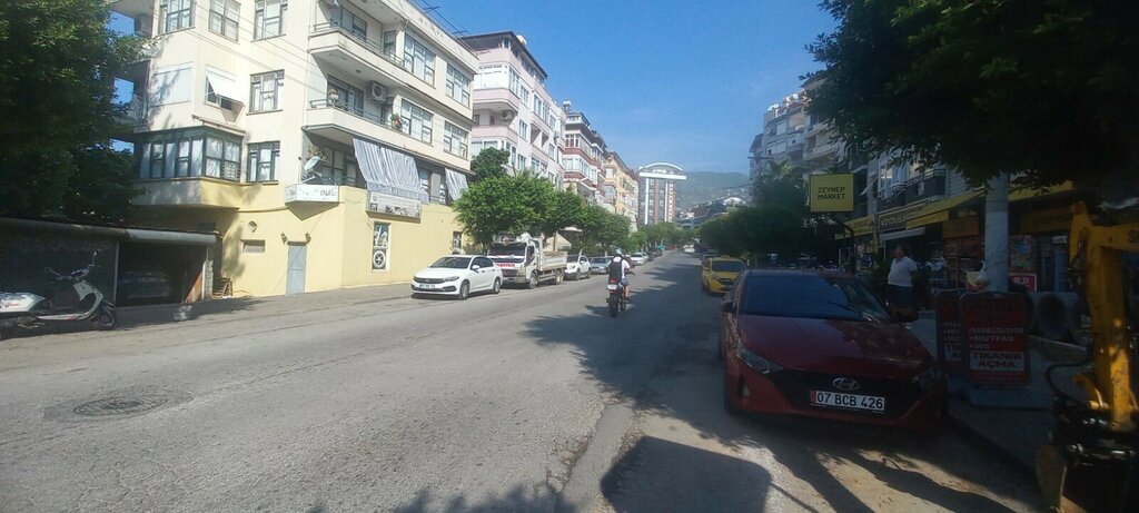Spor kulüpleri Alanya Şampiyon Spor Kulübü, Alanya, foto