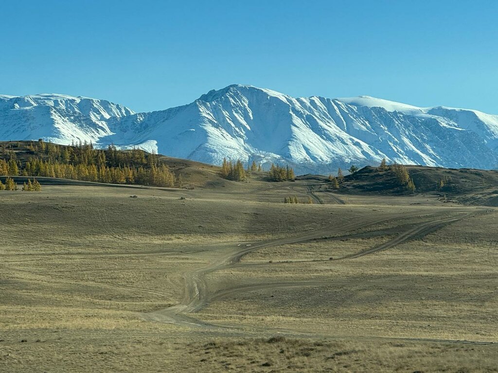 Tatil köyleri Отдых Курай, Altay Cumhuriyeti, foto