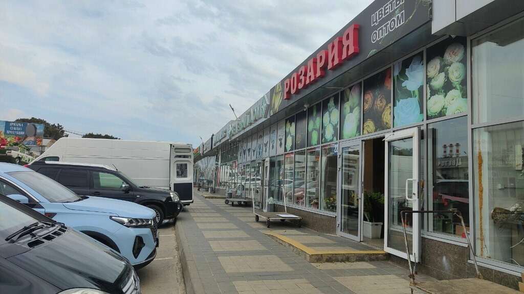 Çiçekçiler Розария, Krasnodar, foto