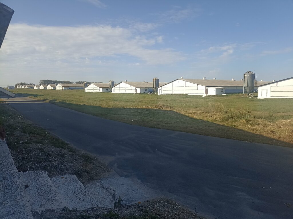 Tarımsal altyapı Птицефабрика Чамзинская, площадка Апраксино, Mordovya, foto