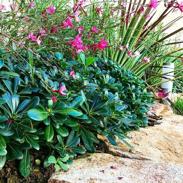 Emlak ofisi Tepe Ora Evleri, İstanbul, foto