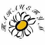 Tanacetum (Novo-Molokovskiy bulvar No:8А, posyolok gorodskogo tipa Molokovo), çiçekçiler  Moskova ve Moskovskaya oblastından