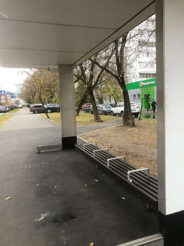Toplu taşıma durağı 5th Street of Yamskogo Polya, Moskova, foto
