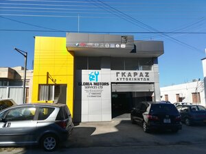 Buy Car in Cyprus (Larnaka), otomobil servisi  Larnaka'dan
