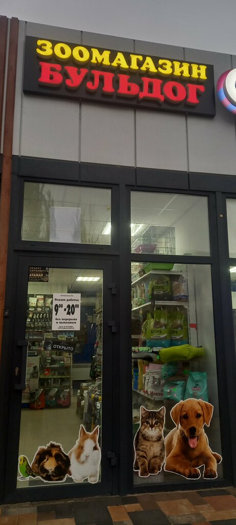 Petshop Бульдог, Volgograd, foto