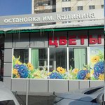 Magazin tsvetov Sklad (Kirov street No:7), çiçekçiler  Çeliabinsk'ten
