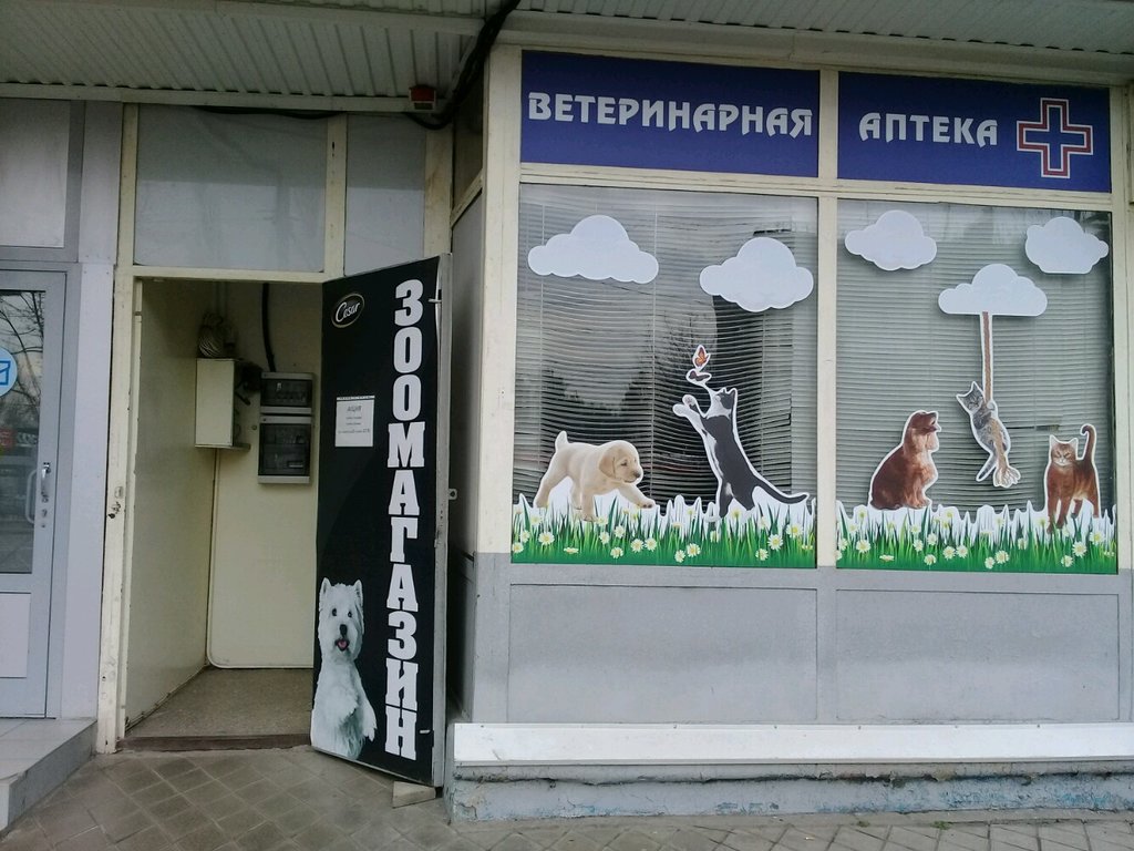 Petshop Зооветточка, Krasnodar, foto