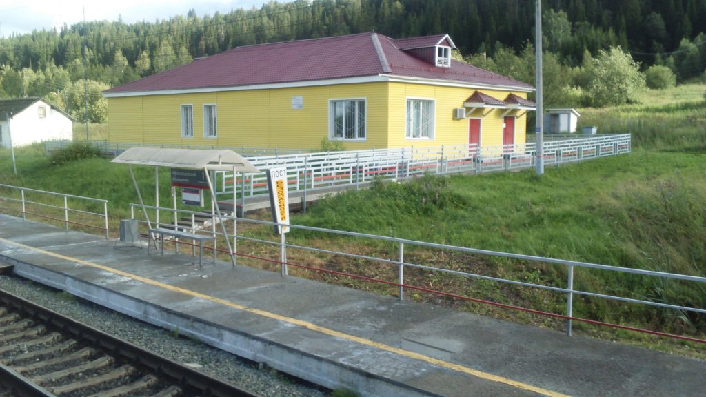 Tren istasyonu Афанасьевский, Sverdlovskaya oblastı, foto