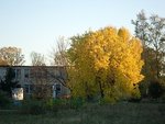 Филиал МБОУ Горловская средняя школа Скопинского муниципального района Рязанской области Клекотковская школа (Shkolnaya ulitsa No:31, selo Klekotki), ortaokul  Riazanskaya oblastından