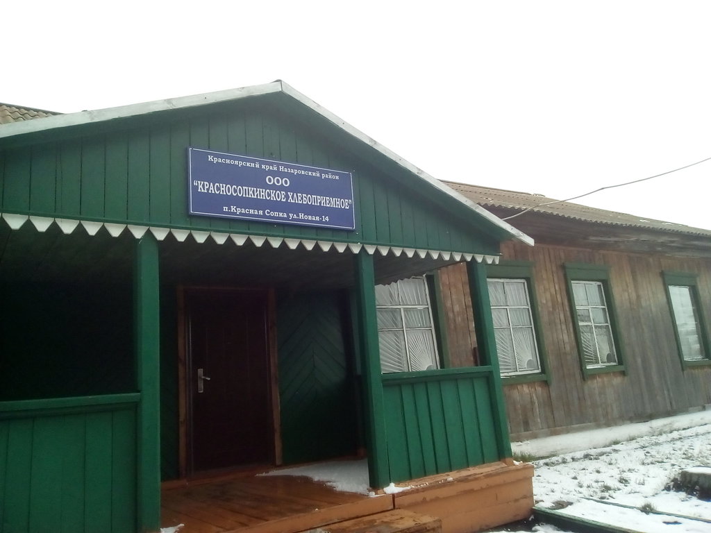 Silo Красносопкинское хлебоприемное, Krasnoyarski krayı, foto