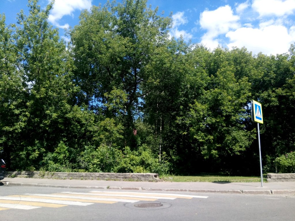 Cenaze hizmetleri Leonovskoye kladbishche, Moskova, foto