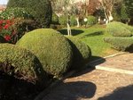 Giardini Moimas Alessandro (Via Vincenzo Monti No:35, Ronchi dei Legionari), peyzaj tasarımı