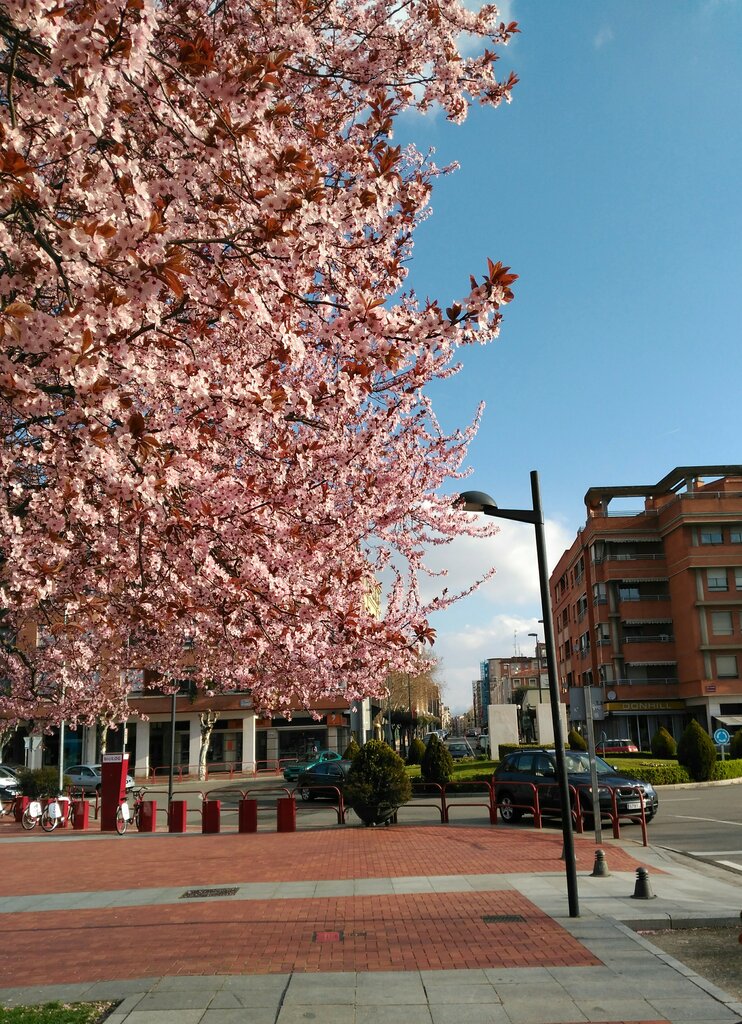 Gayrimenkul yönetimi Dicoma - Servifincas, Logrono, foto