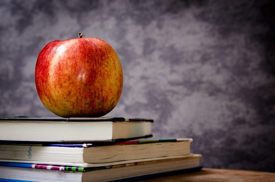 Ortaokul Abacus Nachhilfe-Institut - Einzelnachhilfe zu Hause, Kuzey Ren‑Vestfalya, foto