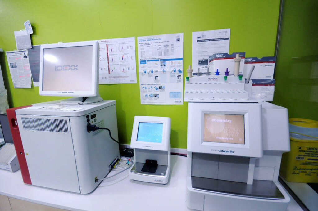 Veteriner klinikleri Hospital Veteralia Movet, Katalonya, foto