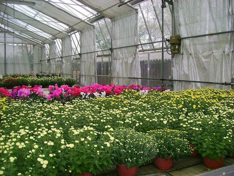 Çiçek teslimatı Semprefiori Garden, Emilia‑Romagna, foto