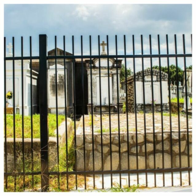 Güvenlik ve alarm sistemleri Forsythe Fence Co Llp, Louisiana Eyaleti, foto