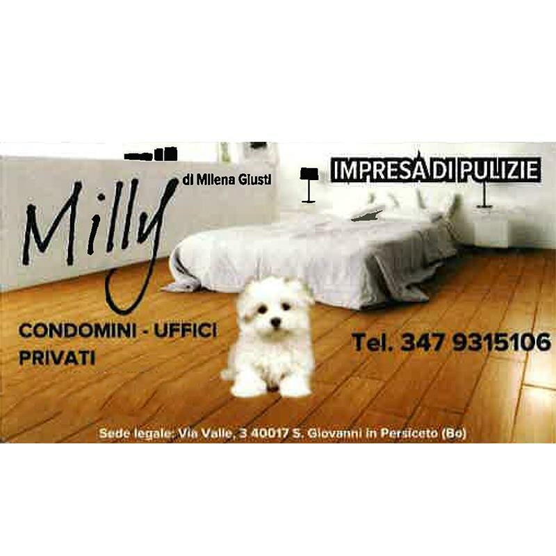 Temizlik şirketleri Impresa di Pulizie Milly, Emilia‑Romagna, foto