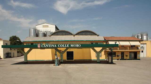 Şarap ve içki toptan satışları Cantina Colle Moro, Abruzzo, foto