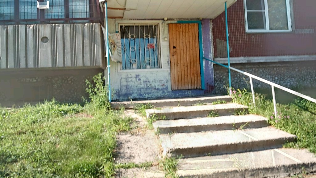 Evcil hayvan kuaförleri Zoosalon Stilyagi, Novosibirsk, foto