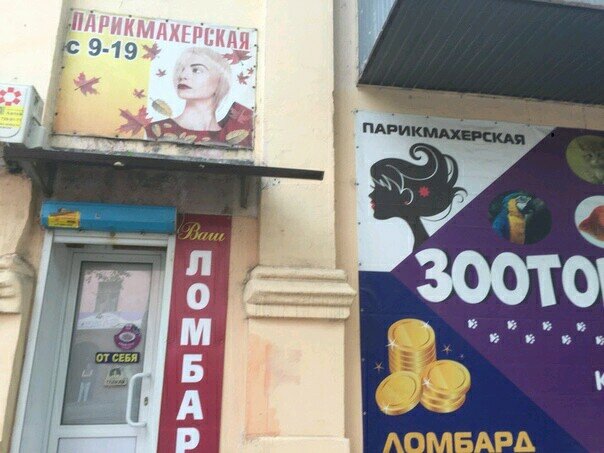 Rehincilik Vash lombard, Çeliabinsk, foto