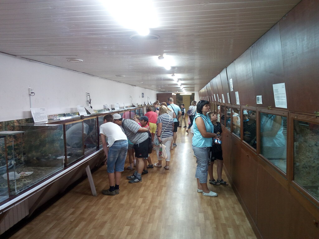 Hayvanat bahçeleri Zoopark im. G. R. Derzhavina, Tambov, foto