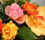 Regalati Un Fiore (Venice, province of Padua, Via Vigonovese, 134), çiçek teslimatı  Padua'dan