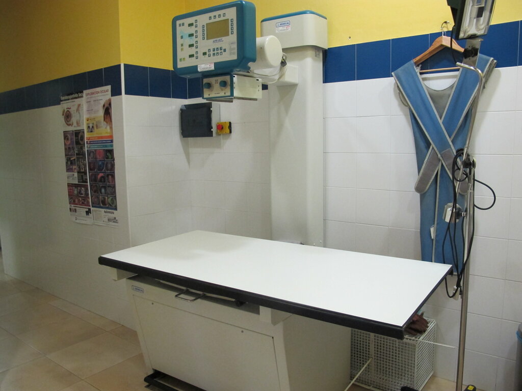 Veteriner klinikleri Clínica Veterinaria Equus Can, Marbella, foto