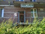 Zoosalon Baskervil (Korolyova Avenue No:61), evcil hayvan kuaförleri  Saint‑Petersburg'dan