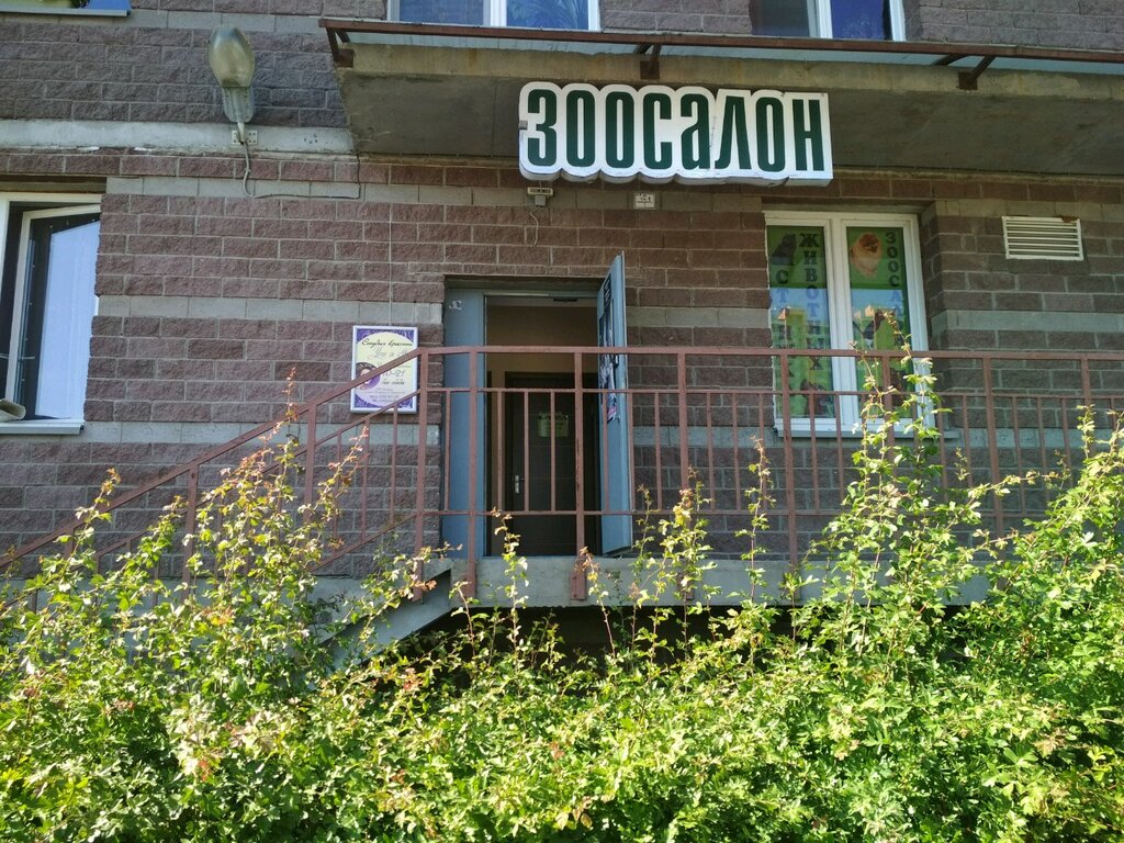 Evcil hayvan kuaförleri Zoosalon Baskervil, Saint‑Petersburg, foto