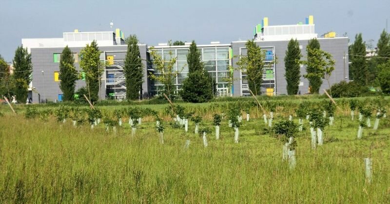Peyzaj tasarımı Verbena Cooperativa Sociale Onlus, Lombardiya, foto