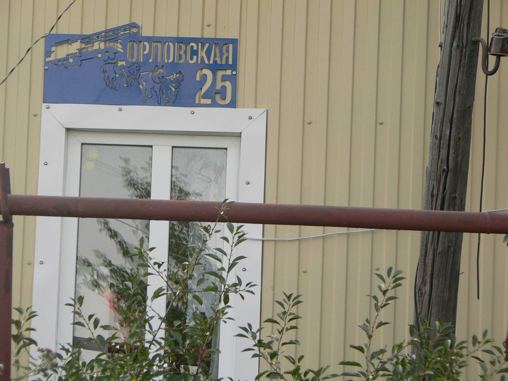 Evcil hayvan yetiştiricileri Kennel of Dog Buzburi Idel, Samarskaya oblastı, foto