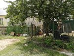 Ayvel (Festivalny boulevard No:31), hayvanat bahçesi merkezi  Voronej'den