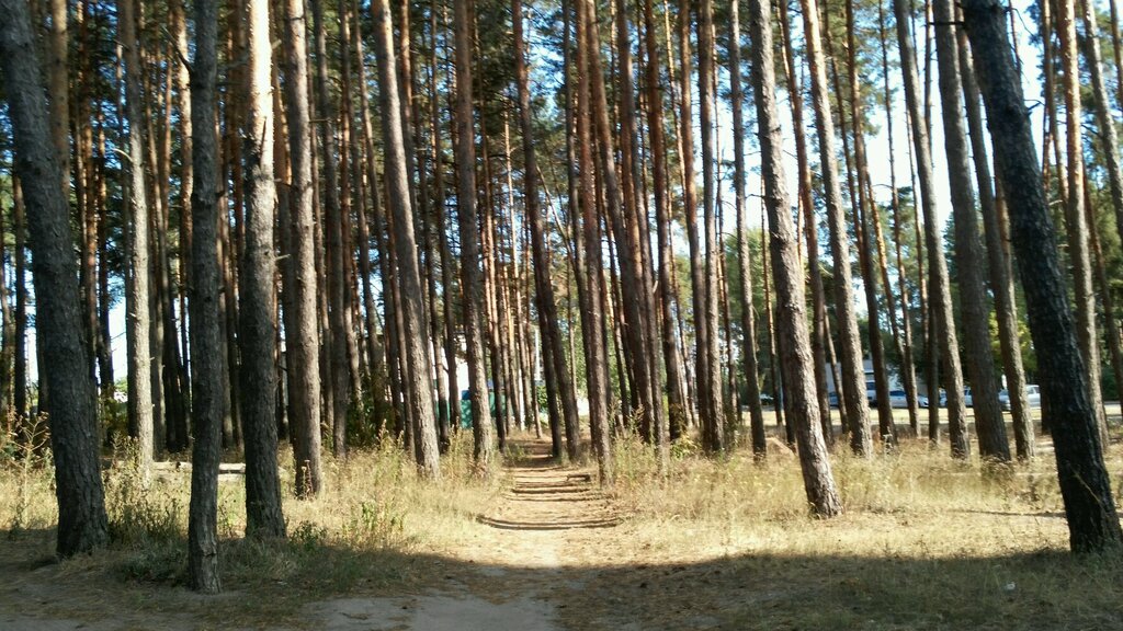 Meydan Сквер Победителей, Voronej, foto